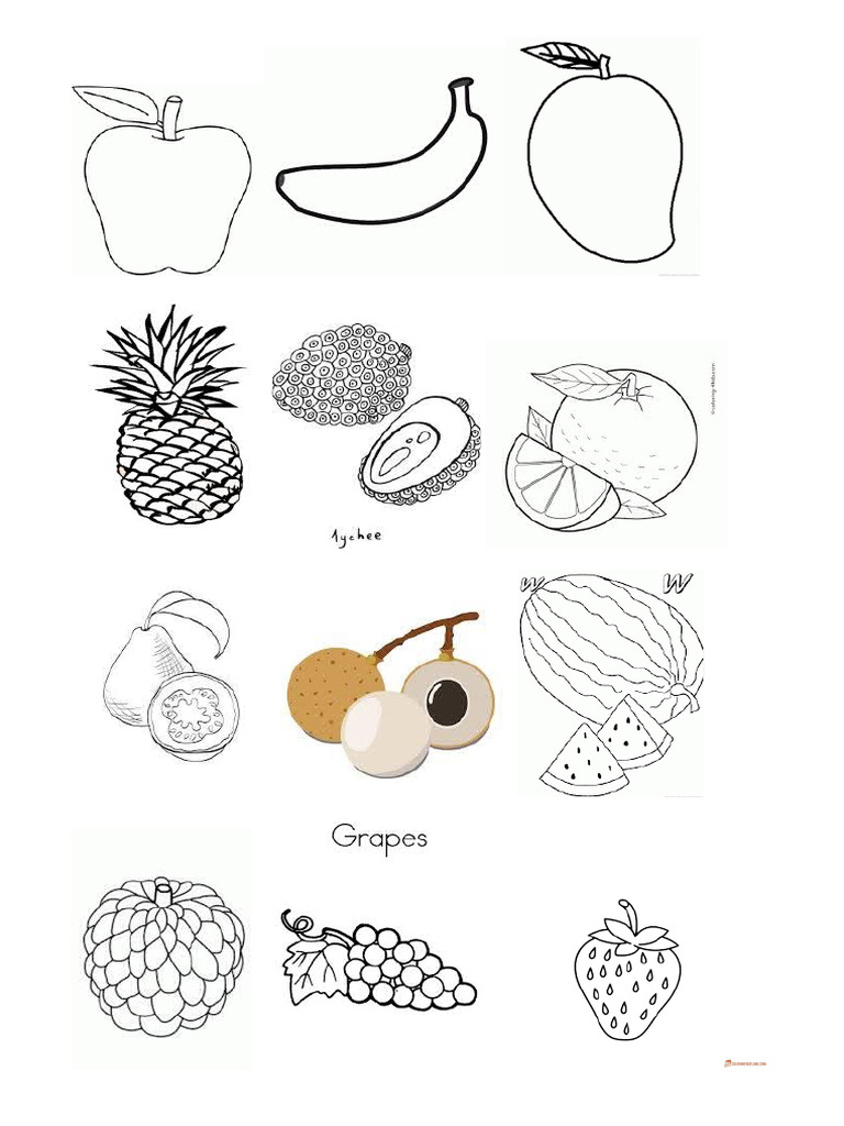Fruit Coloring | PDF