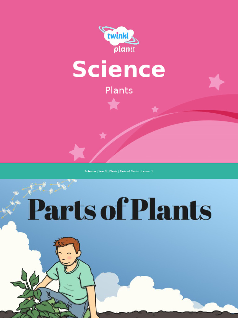 Understanding Plant Parts and Functions | PDF | Plants | Leaf