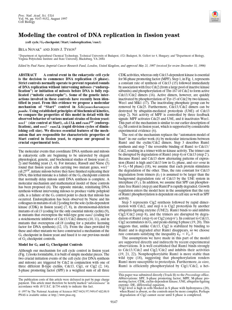 Novak Tyson 1997 Modeling The Control of Dna Replication in Fission ...