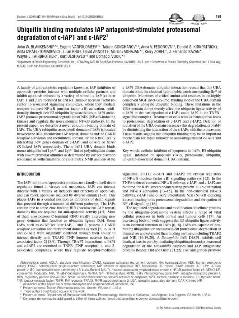Ubiquitin Binding Modulates IAP Antagoni | PDF | Nf κb | Ubiquitin