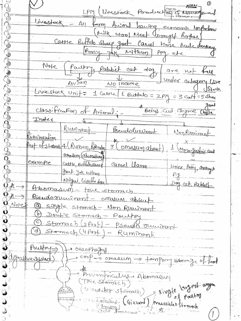Veterinary Handwritten Material Part 2 | PDF