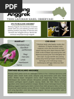 Teks Laporan Hasil Observasi Belalang Anggrek Kelompok 4 XB | PDF