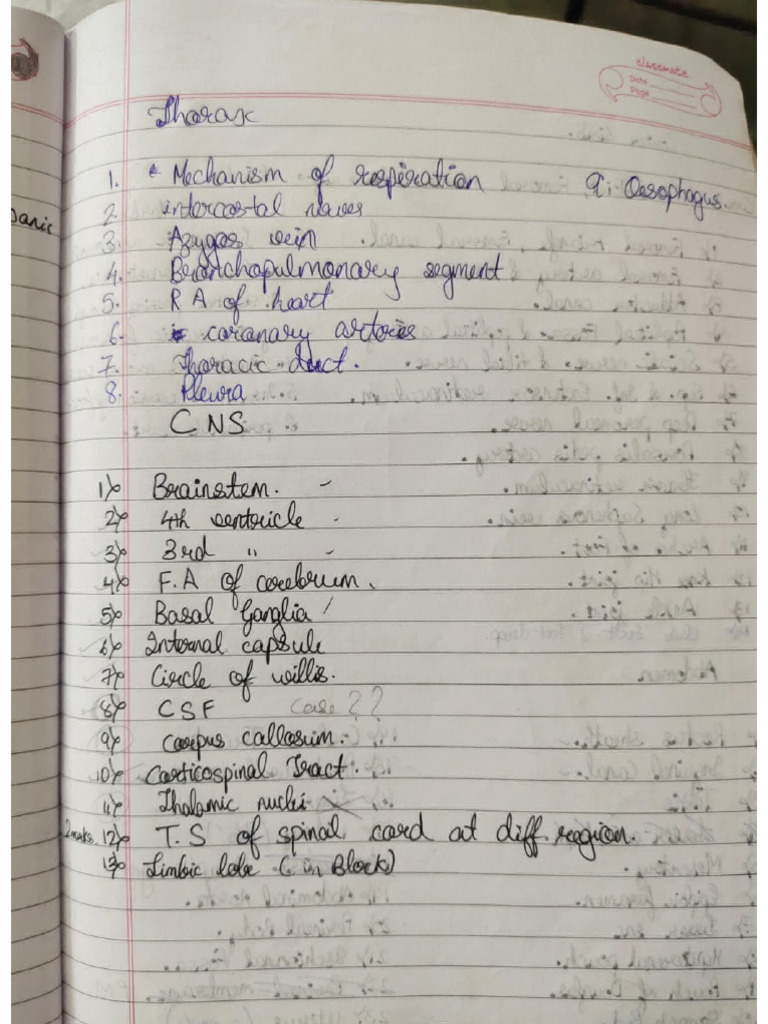 Anatomy Most Imp | PDF