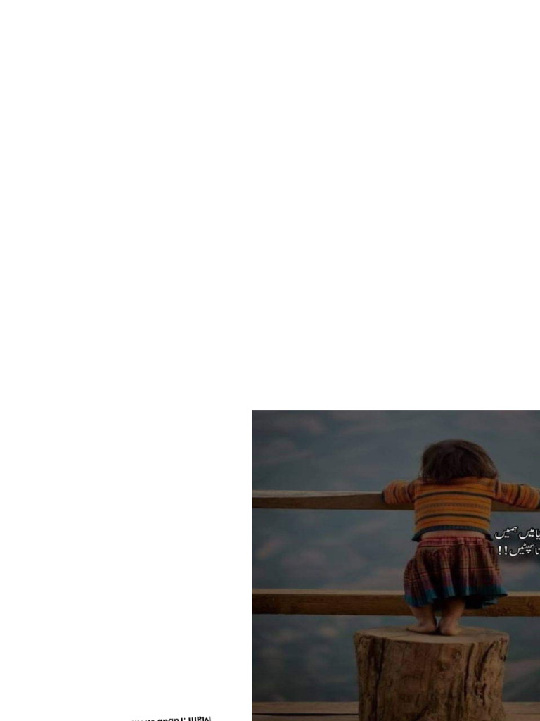 Presentation (2) WPS Office | PDF