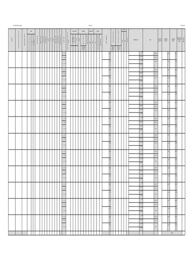 Neonatal Register Dari-A3 | PDF