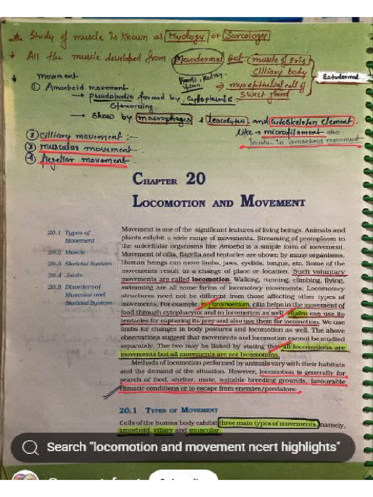 Locomotion and Movement Textbook Highlights From Utube | PDF