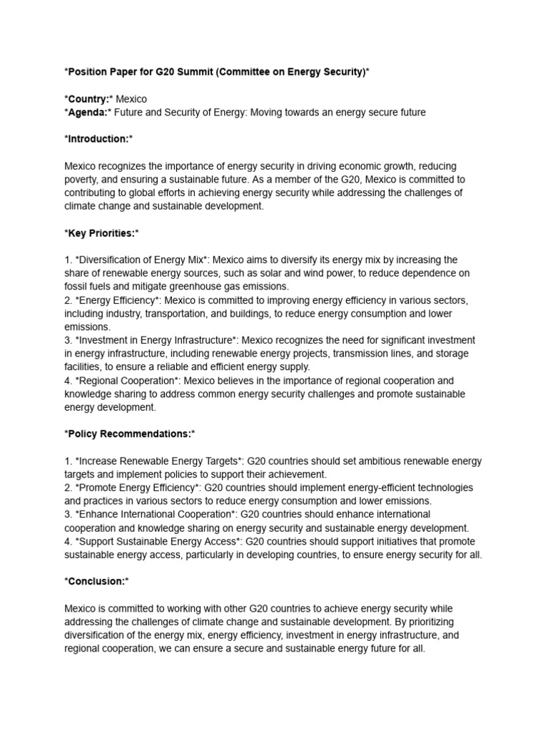 Position Paper 1 For G20 Summit (Committee On Energy Security) | PDF