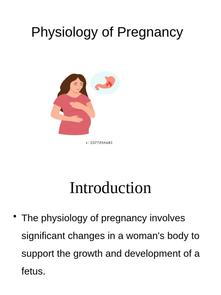 Physiological Changes During Pregnancy | PDF | Childbirth | Uterus