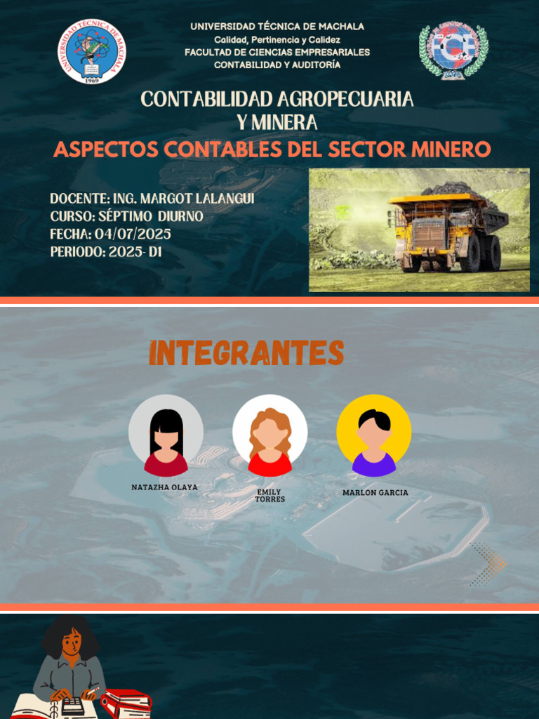 Aspectos Contables Del Sector Minero - 11zon | PDF