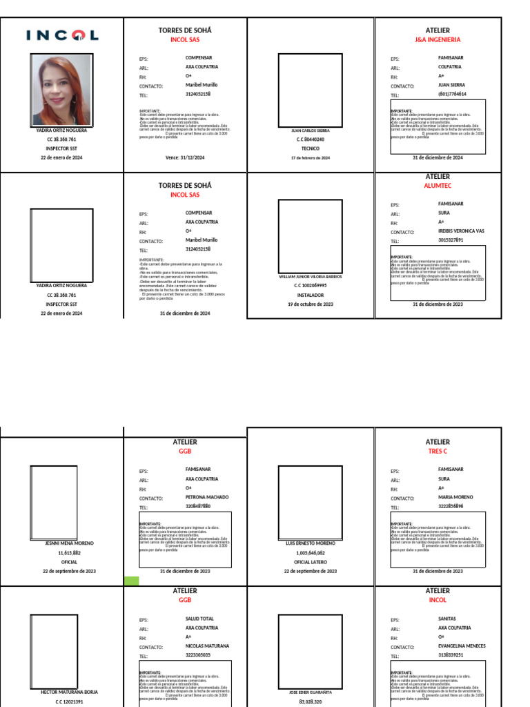 FORMATO CARNETS Imprimir | PDF