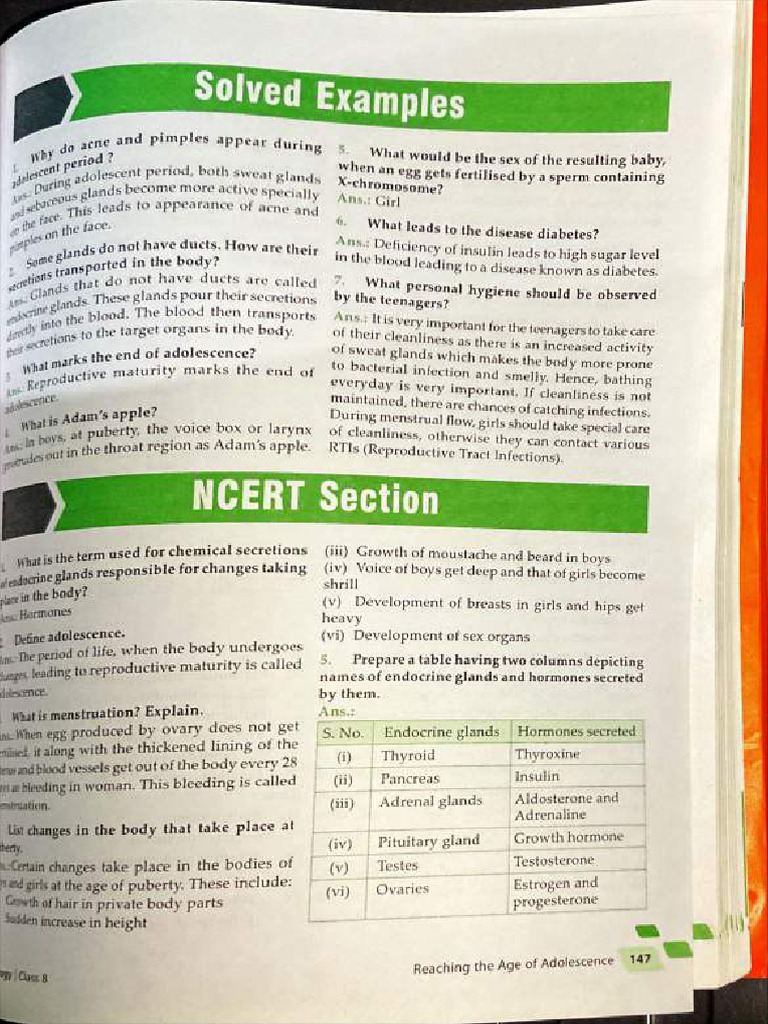 Bio Class 8 IMP-73 | PDF