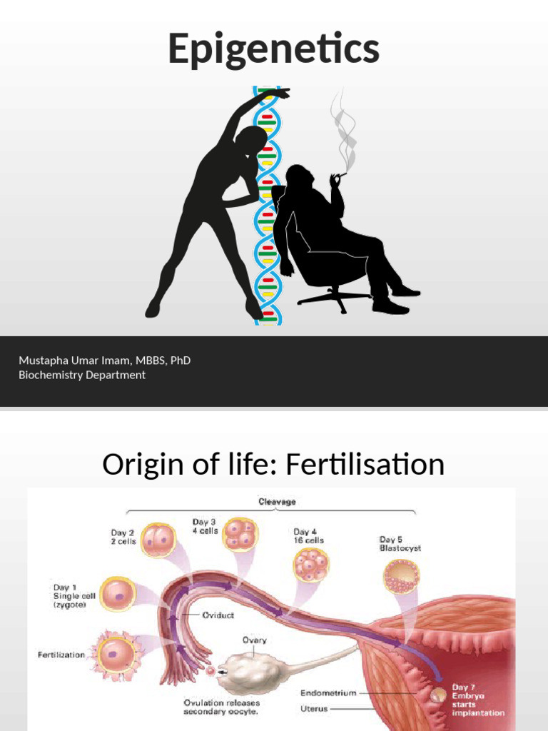 Molecular Biology-Epigenetics | PDF | Epigenetics | Twin