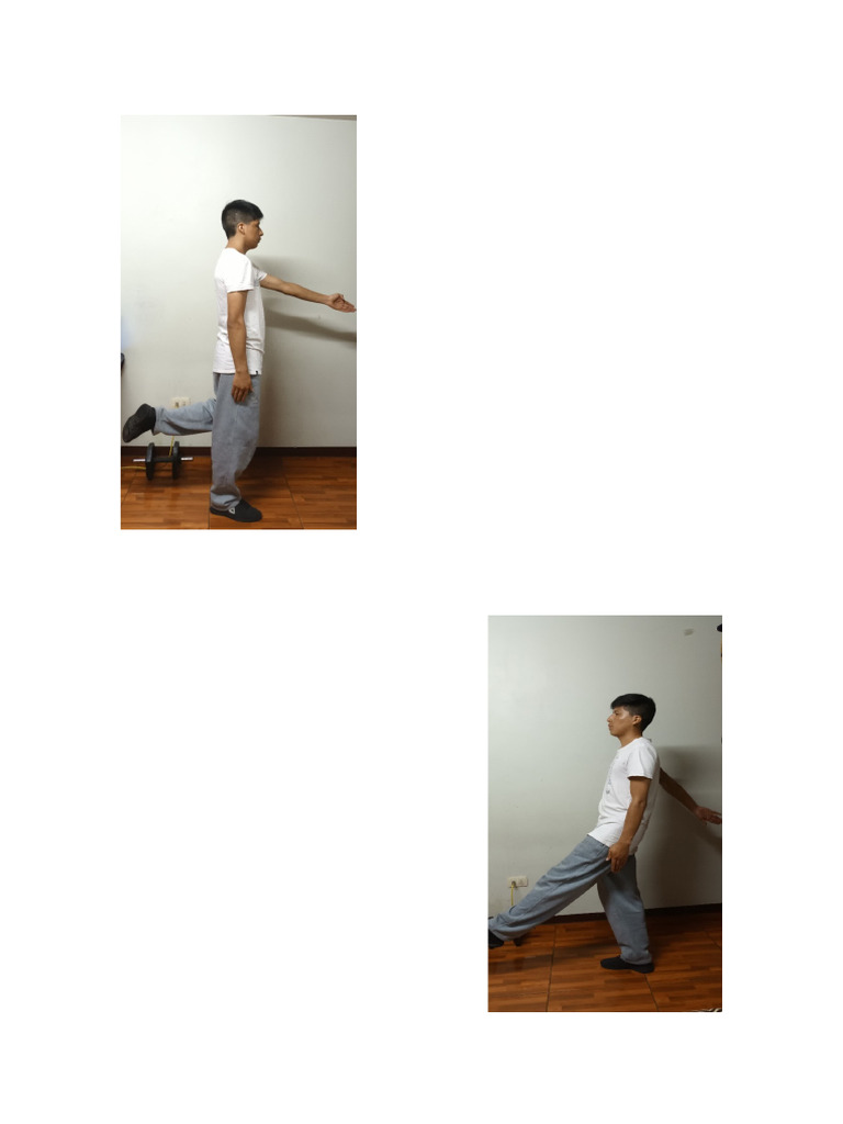 Flexion y Extension | PDF
