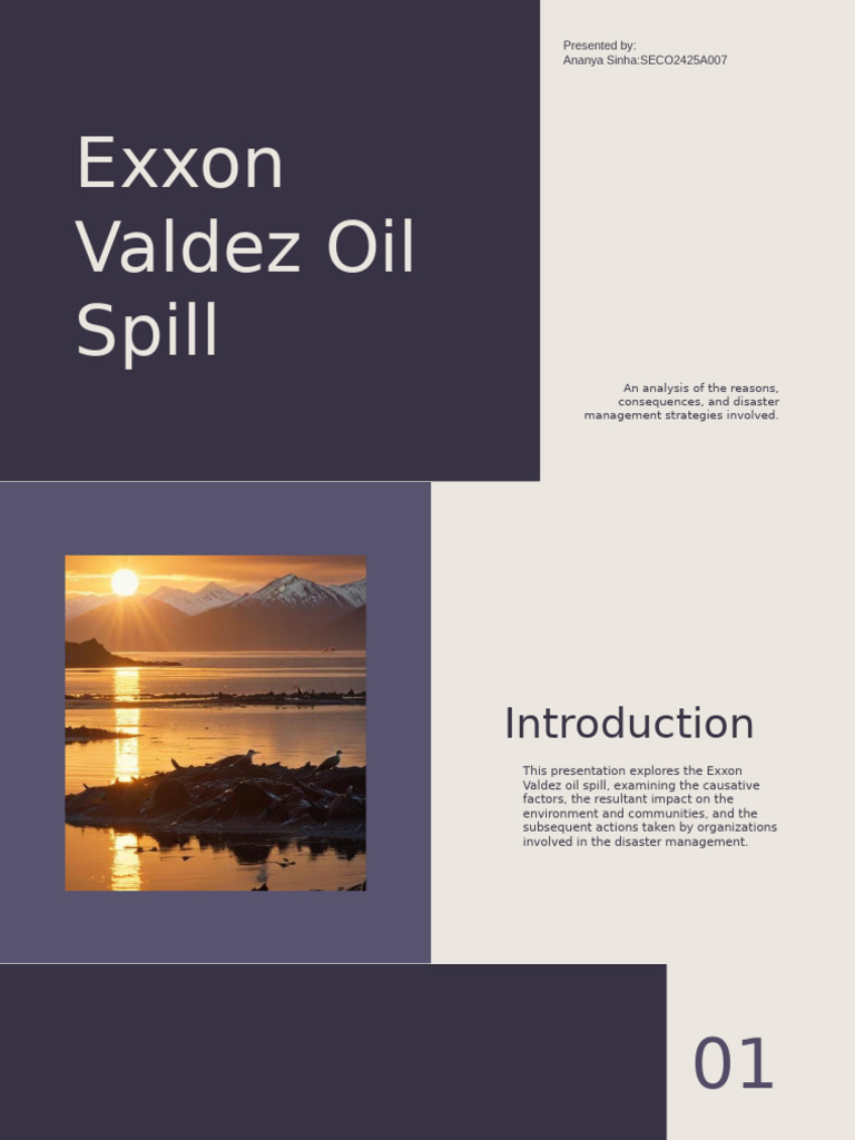 Exxon Valdez Oil Spill Analysis | PDF | Oil Spill | Exxon Mobil
