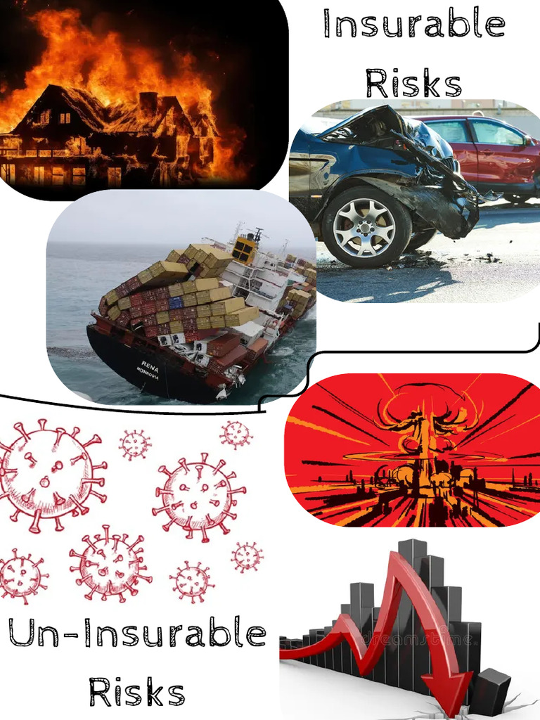 Insurable RisksPoster | PDF