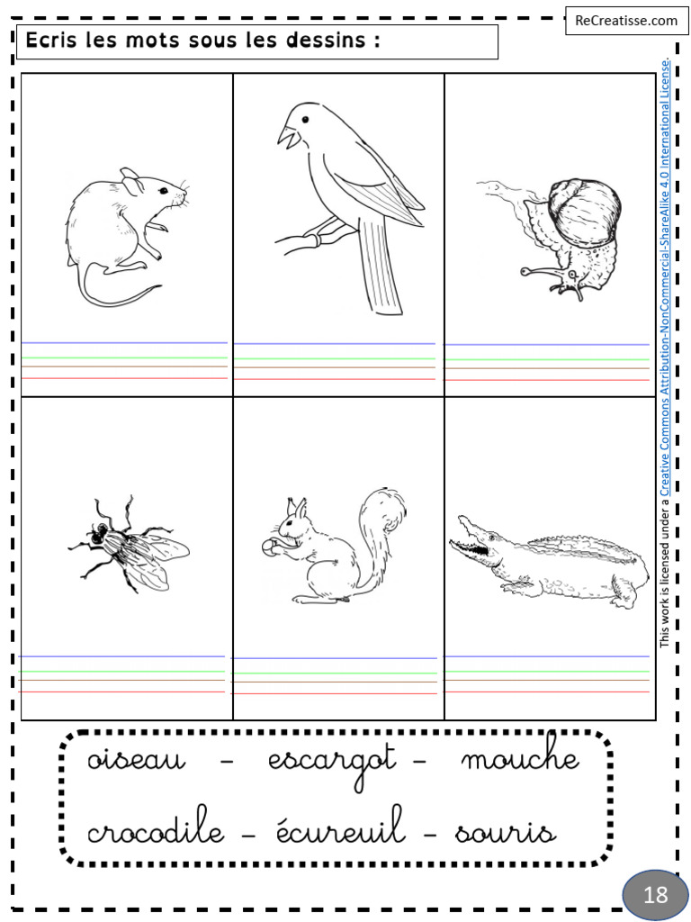 Bon Cahier Autonomie Interactif CP Lecture Partie 3 | PDF