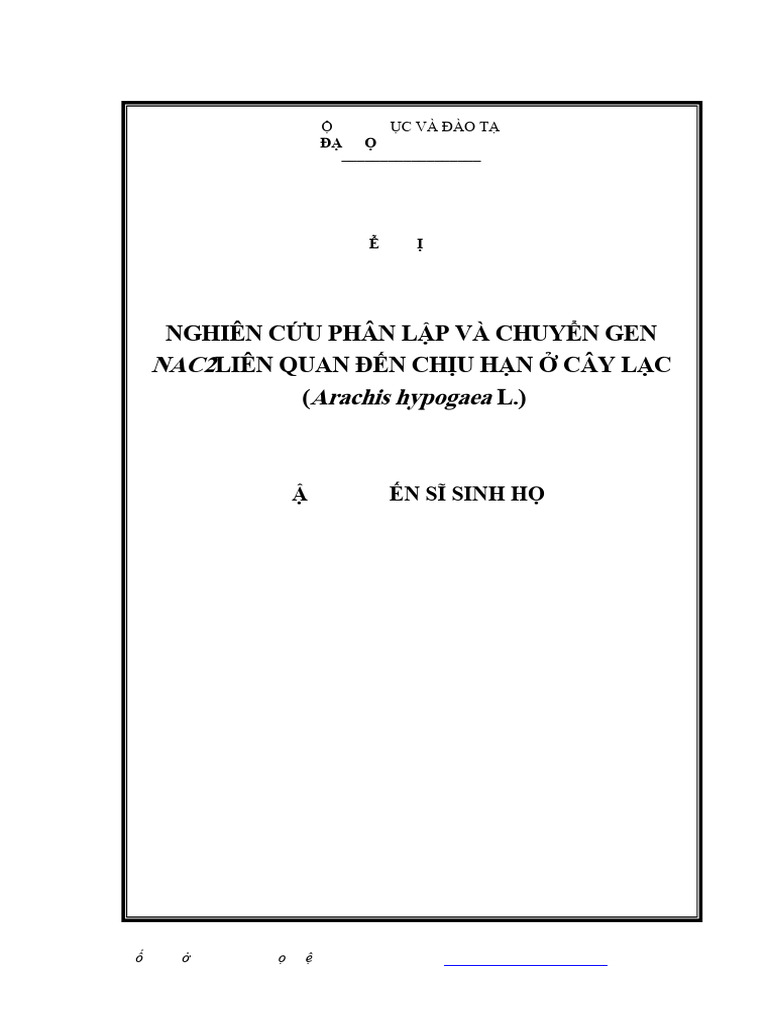 Luận Văn Nghiên Cứu Phân Lập Và Chuyển Gen Nac2 Liên Quan Đến Tính Chịu ...