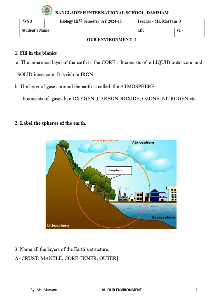 6th Ws3 Solu Our Environment Ay24-25 | PDF