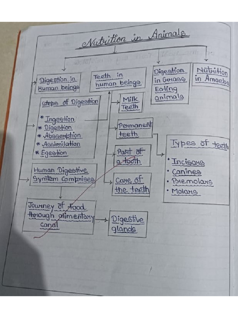 Class - 7th Science Chapter - 2 | PDF