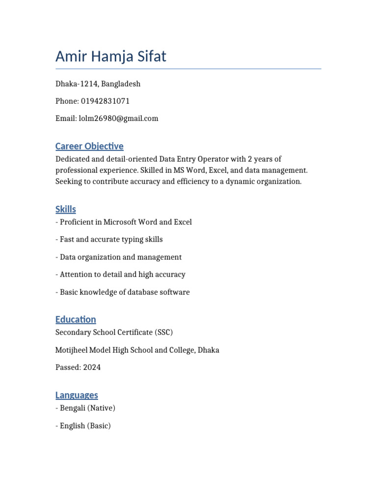 Amir DataEntry Resume | PDF