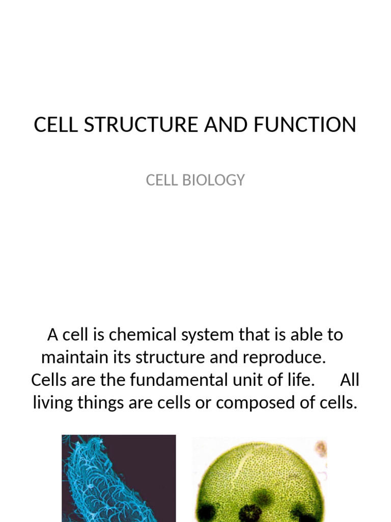 Cell Structure and Function | PDF | Cell (Biology) | Cell Nucleus