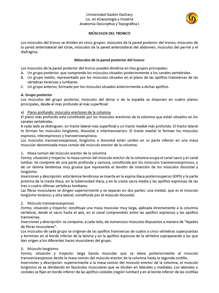 Músculos del Tronco: Anatomía y Función | PDF | La columna vertebral ...