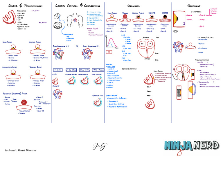 Cardiovascular Pathology - 010) Ischemic Heart Disease (Illustrations ...