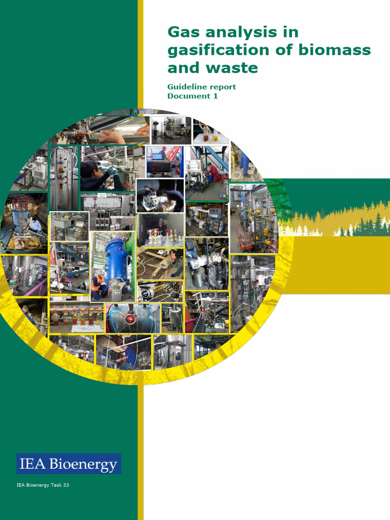 IEA Bioenergy Task 33 Gas Analysis Report Document 1 1 | PDF ...