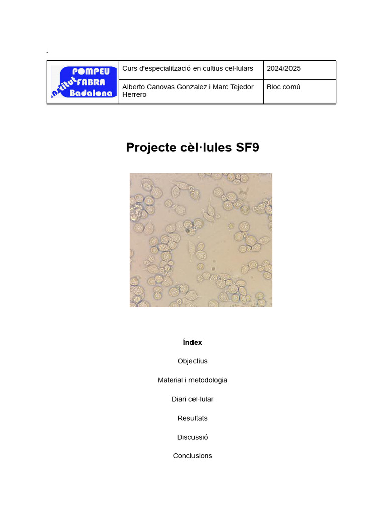 Informe SF9 - MarciAlberto | PDF