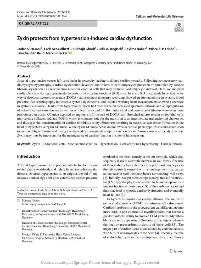 Zyxin Protects From Hypertension-Induced Cardiac D | PDF | Cardiac ...