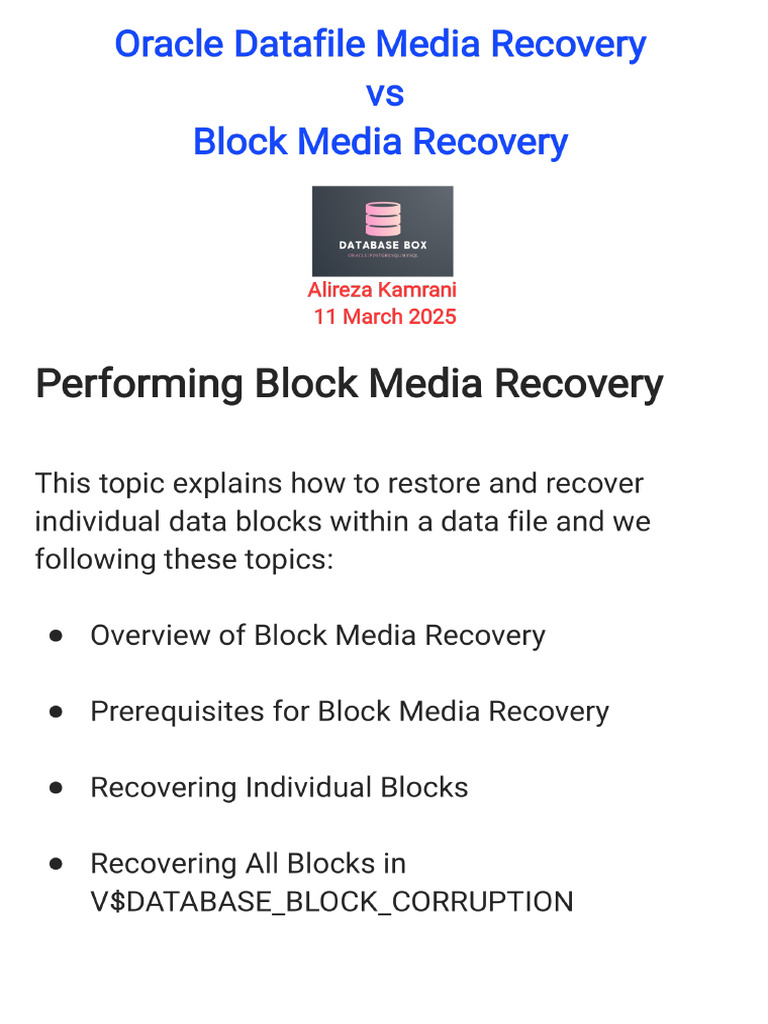 An Overview of Oracle Recovery 1742640440 | PDF