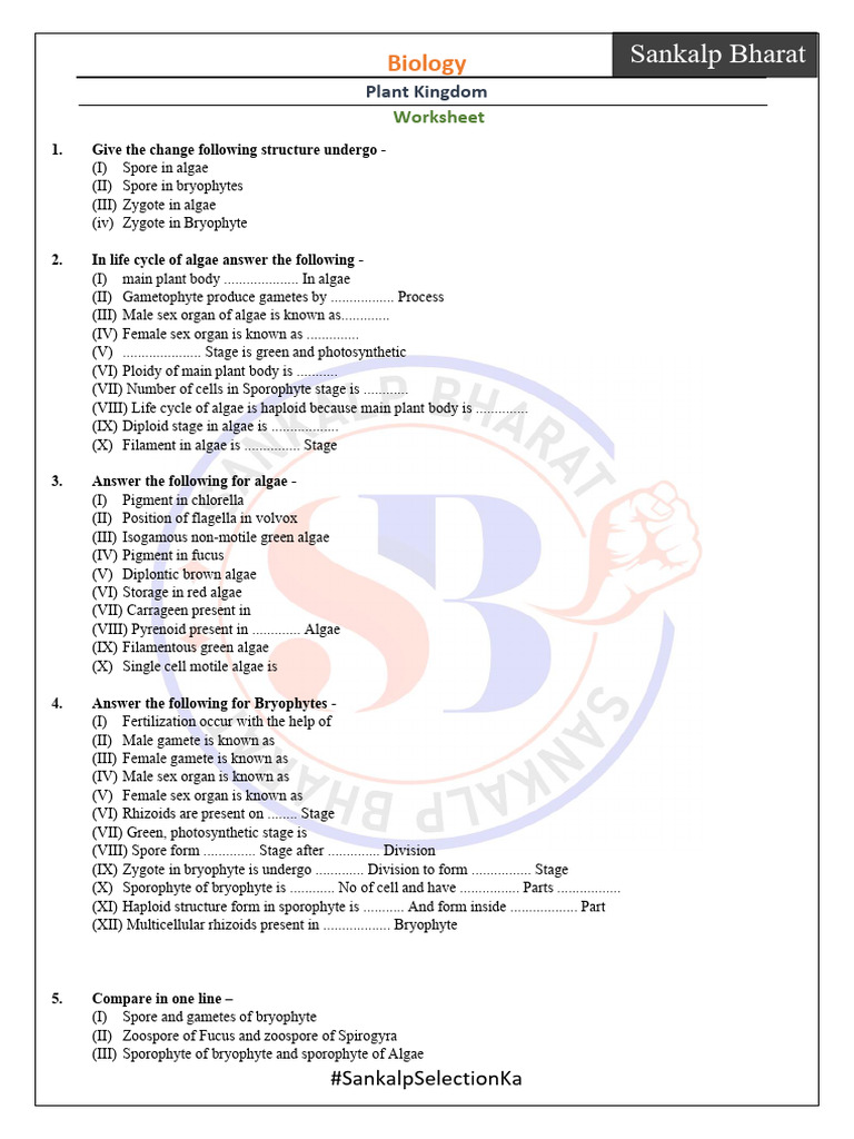 Plant Kingdom Biology Worksheet | PDF | Spore | Biological Processes