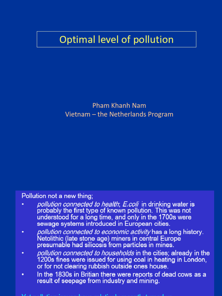 Society's Optimal Pollution Level | PDF | Pollution | Externality