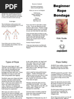 BDSMTest The Original BDSM & Kink Test | PDF