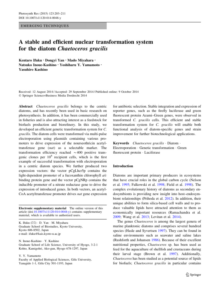 A Stable and Efficient Nuclear Transformation System For The Diatom ...