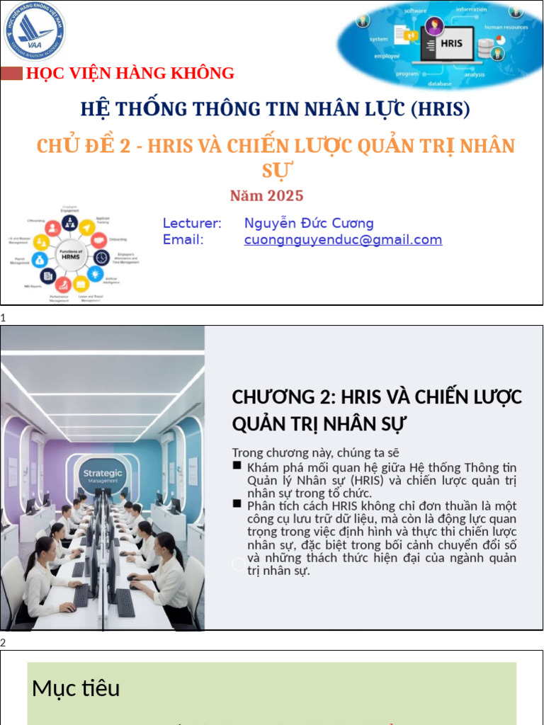 HRIS - C2 - HRIS Va Chien Luoc Nhan Su | PDF