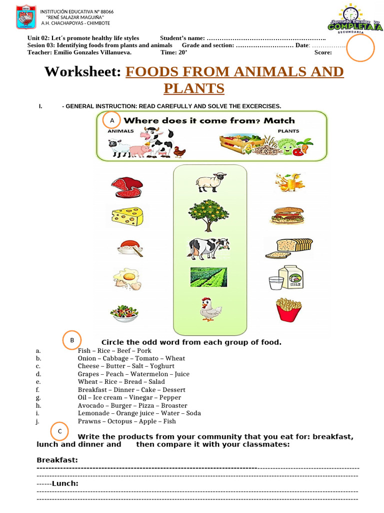 Balanced Diet Worksheet | PDF