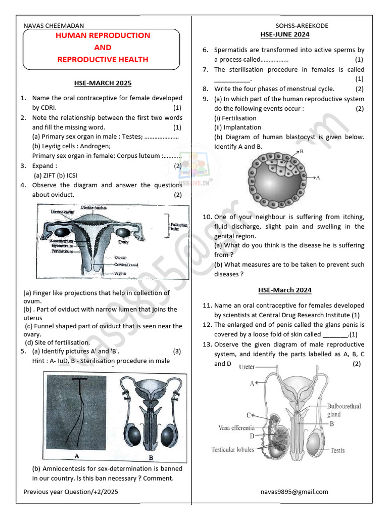 Human Reproduction Exam Questions | PDF | Menstrual Cycle | Luteinizing ...