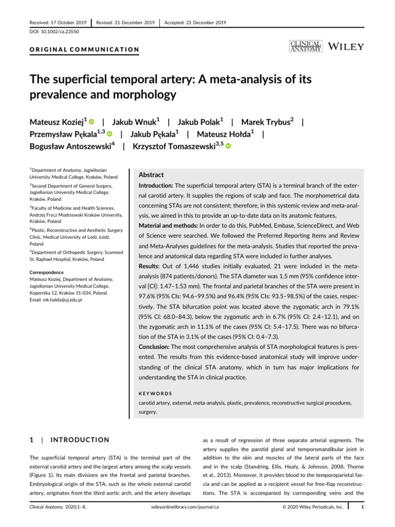 Superficial Temporal Artery Meta-Analysis | PDF | Common Carotid Artery ...