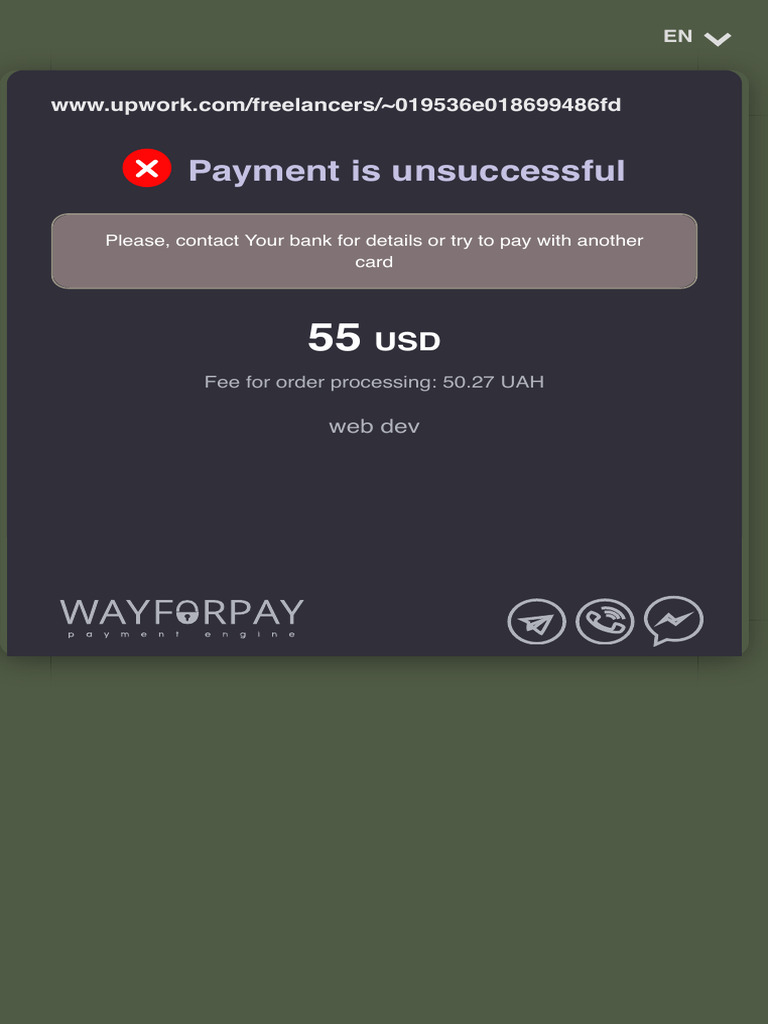 Payment Is Unsuccessful | PDF