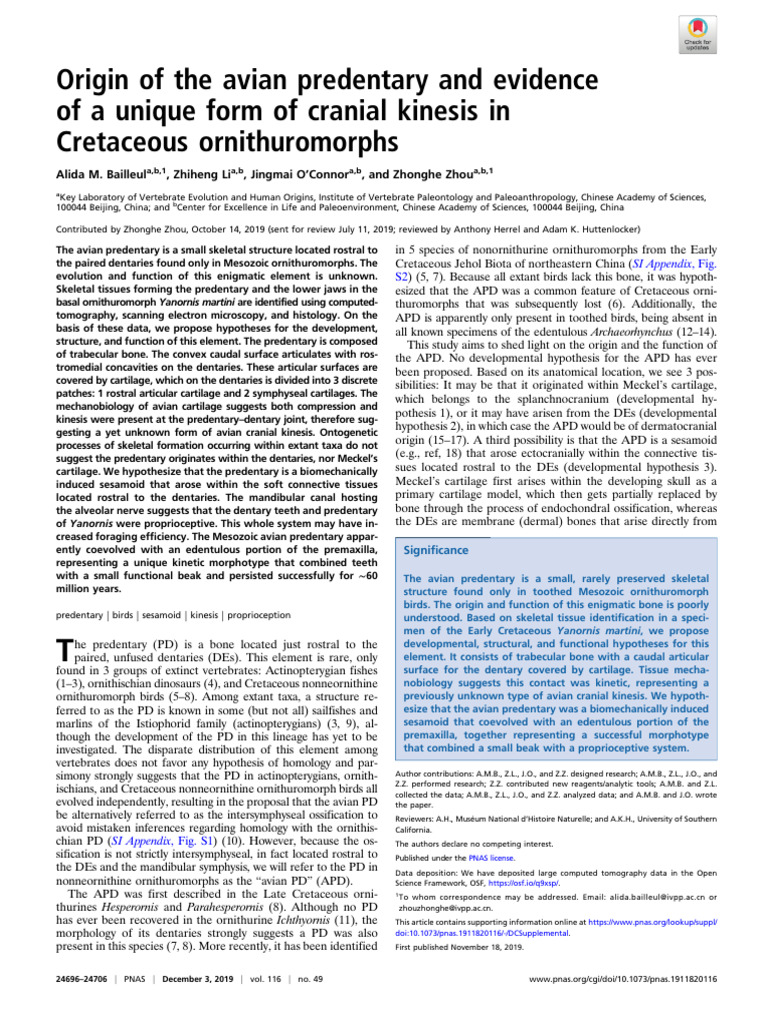 Origin of The Avian Predentary | PDF | Bone | Cartilage