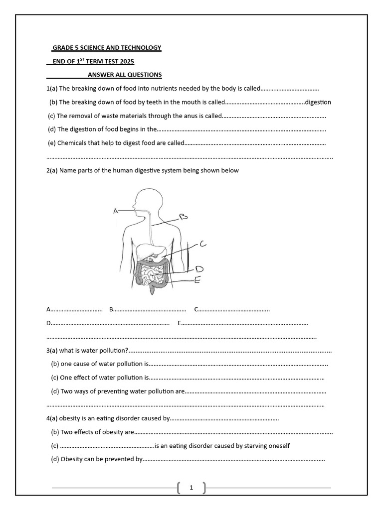 Grade 5 Science Test: Nutrition & Health | PDF | Sexually Transmitted ...
