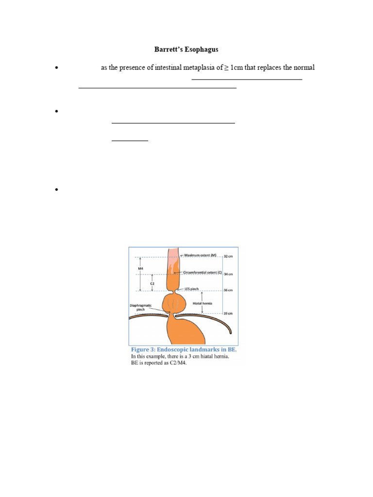 Normal vs Irregular Z-Line in Barrett's | PDF