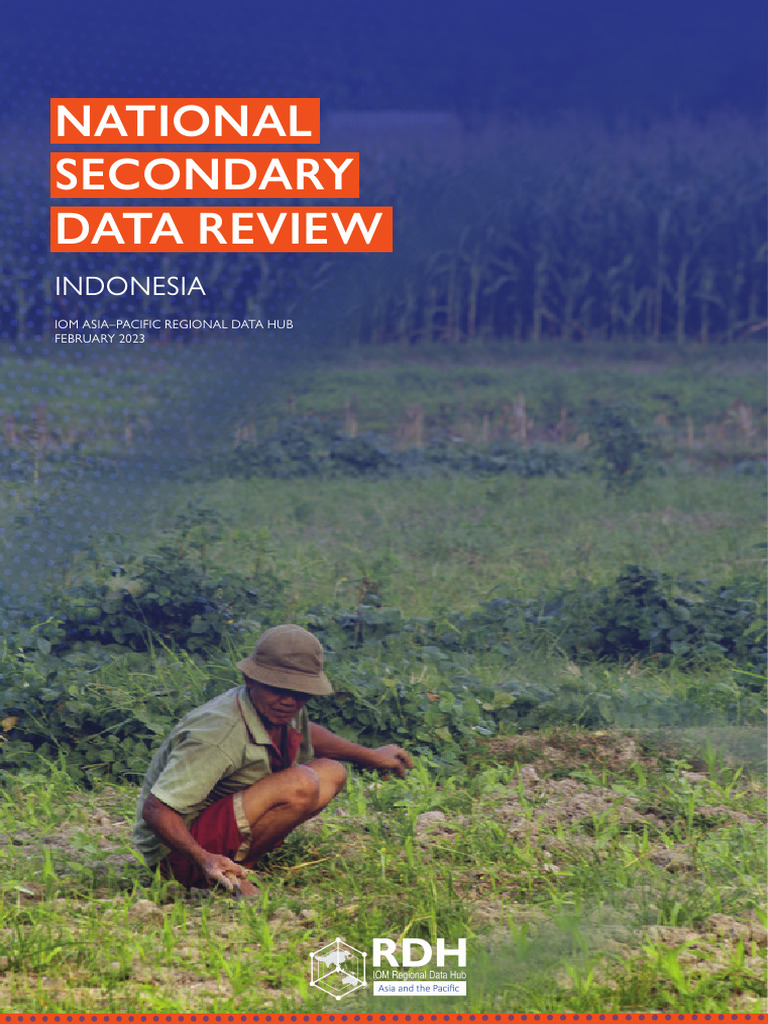 Indonesia National Data Review 2023 | PDF | Human Migration | Remittance
