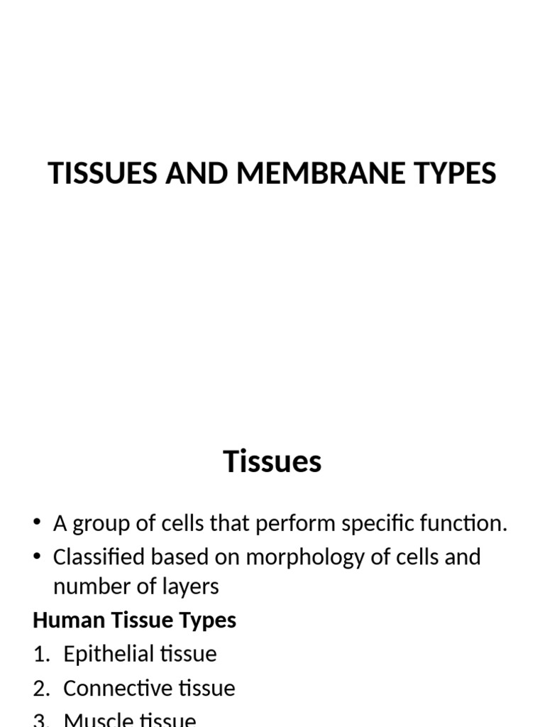 Types of Tissues and Membranes Explained | PDF | Epithelium ...