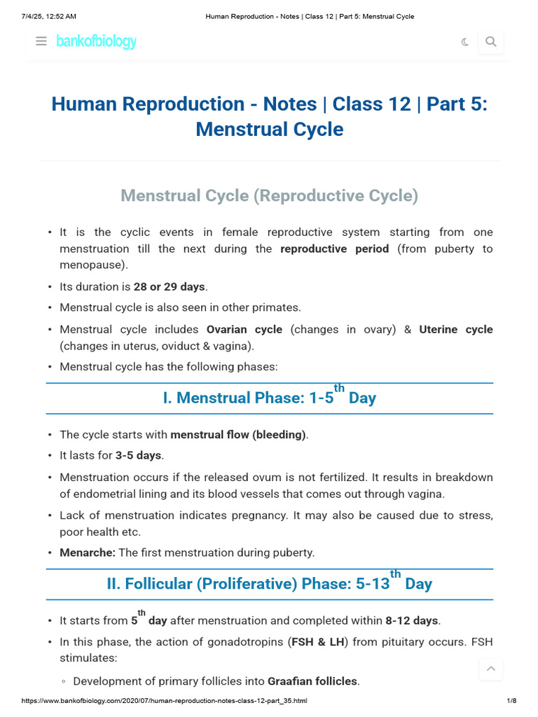 Class 12 Menstrual Cycle Overview | PDF | Menstrual Cycle | Reproduction