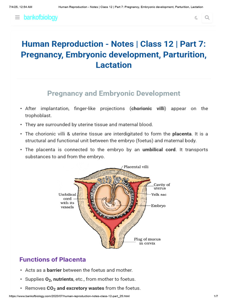 Pregnancy and Parturition Overview | PDF | Placenta | Lactation