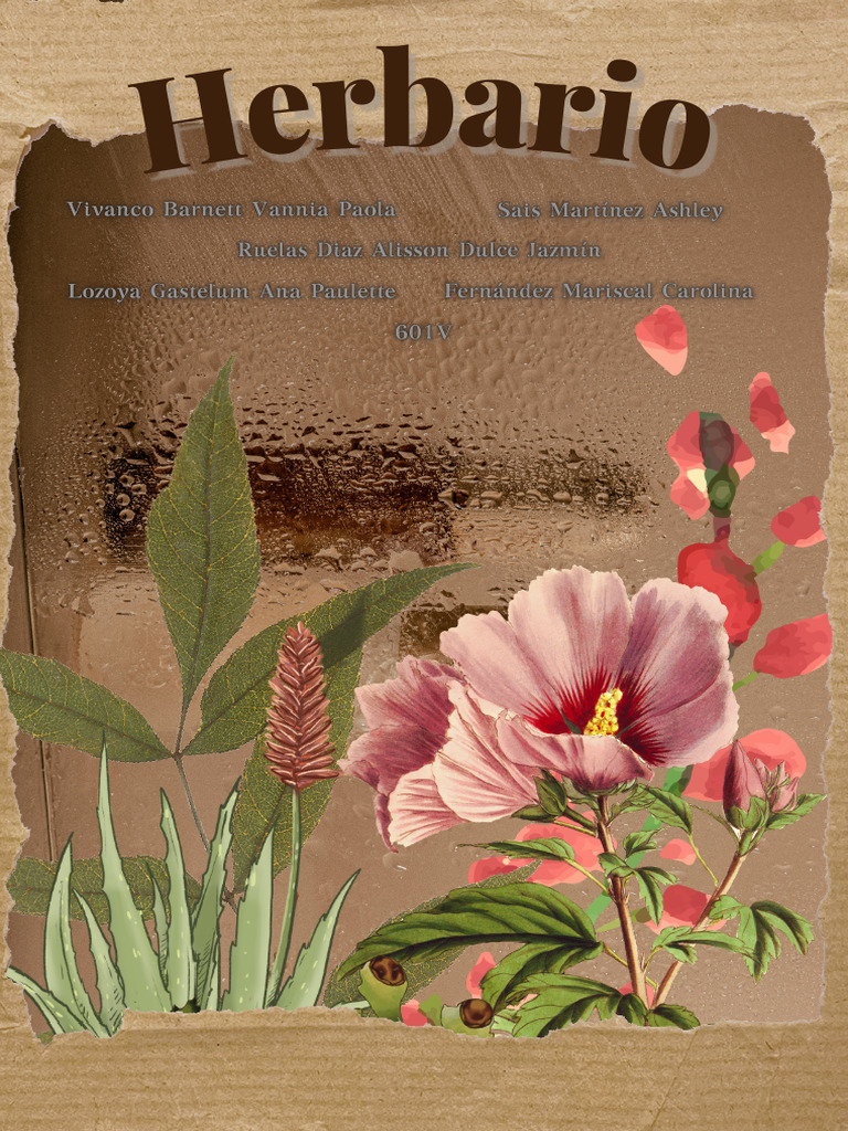 Herbario 601V PDF | PDF | Albahaca | Plantas