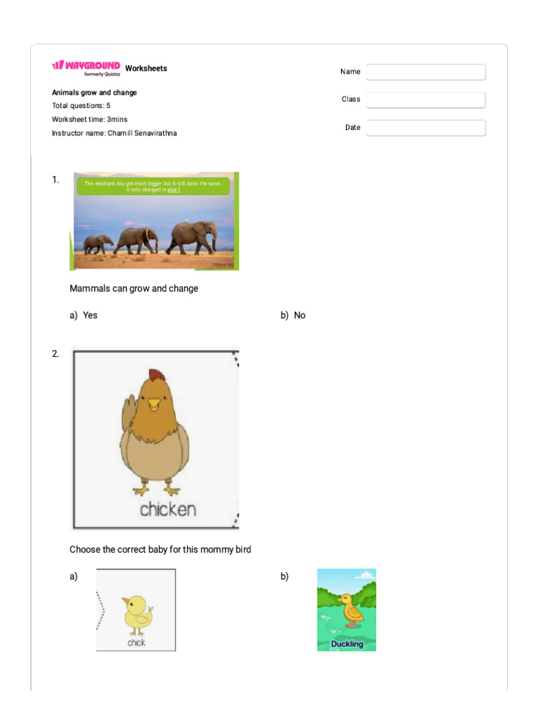 Animals Grow and Change - Wayground | PDF