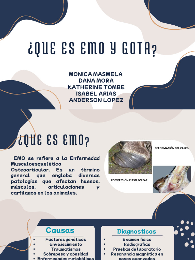 Exposicion Anatomia - Que Es EMO y GOTA | PDF